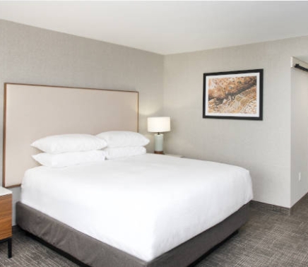 Classic King - Horseshoe Bay Resort